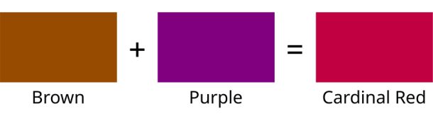 Purple and Brown Make What Color? - Shades of Harmony