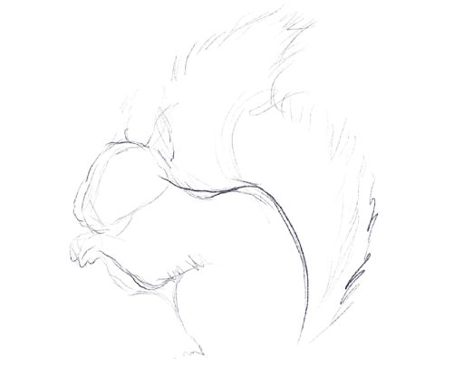 Squirrel Drawing - An Easy Drawing Tutorial for Beginners