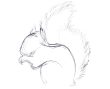 Squirrel Drawing - An Easy Drawing Tutorial for Beginners