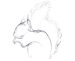 Squirrel Drawing - An Easy Drawing Tutorial for Beginners