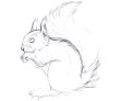 Squirrel Drawing - An Easy Drawing Tutorial for Beginners