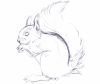 Squirrel Drawing - An Easy Drawing Tutorial for Beginners