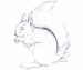 Squirrel Drawing - An Easy Drawing Tutorial for Beginners