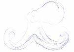 Octopus Drawing - An Easy Guide to Drawing a Realistic Octopus