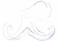 Octopus Drawing - An Easy Guide to Drawing a Realistic Octopus