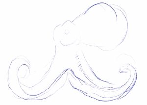 Octopus Drawing - An Easy Guide to Drawing a Realistic Octopus