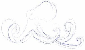 Octopus Drawing - An Easy Guide to Drawing a Realistic Octopus