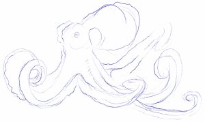 Octopus Drawing - An Easy Guide to Drawing a Realistic Octopus