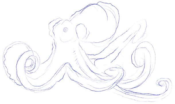 Octopus Drawing - An Easy Guide to Drawing a Realistic Octopus