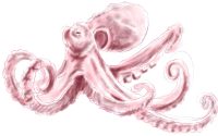 Octopus Drawing - An Easy Guide to Drawing a Realistic Octopus