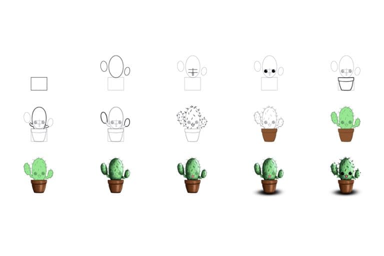 Cactus Drawing - Succulent Sketching