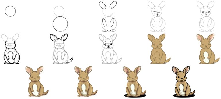 Kangaroo Drawing - Bringing Australia's Wildlife to Life