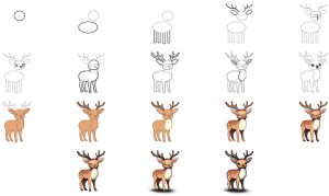 Deer Drawing - 18 Steps to Drawing Gentle Guardians