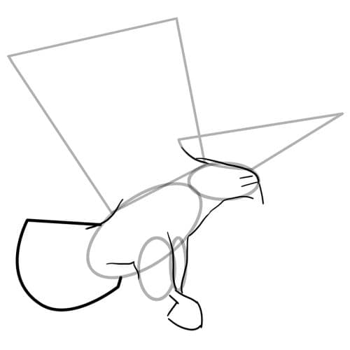 Eagle Drawing - 16 Steps for Drawing Graceful Guardians