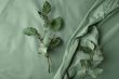 Meaning of the Color Sage Green - Soothing Serenity