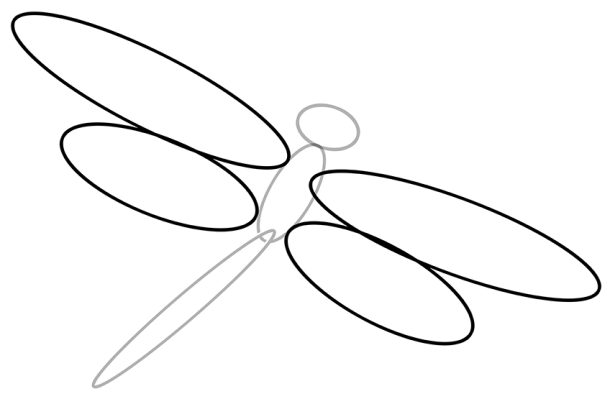 Dragonfly Drawing - 12 Steps to Sketching Graceful Guardians