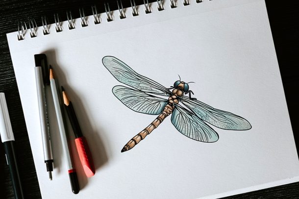 Dragonfly Drawing - 12 Steps to Sketching Graceful Guardians